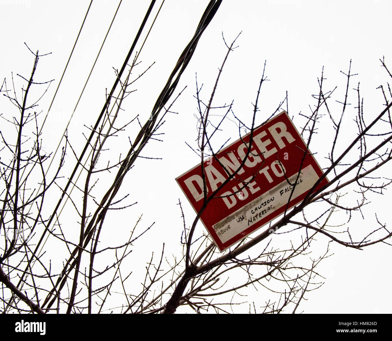 A sign caught in a tree. Taken in downtown Toronto Stock Photo - Alamy