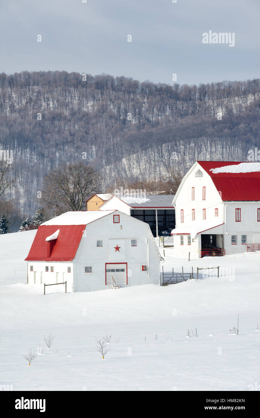White and red barn hi-res stock photography and images - Alamy