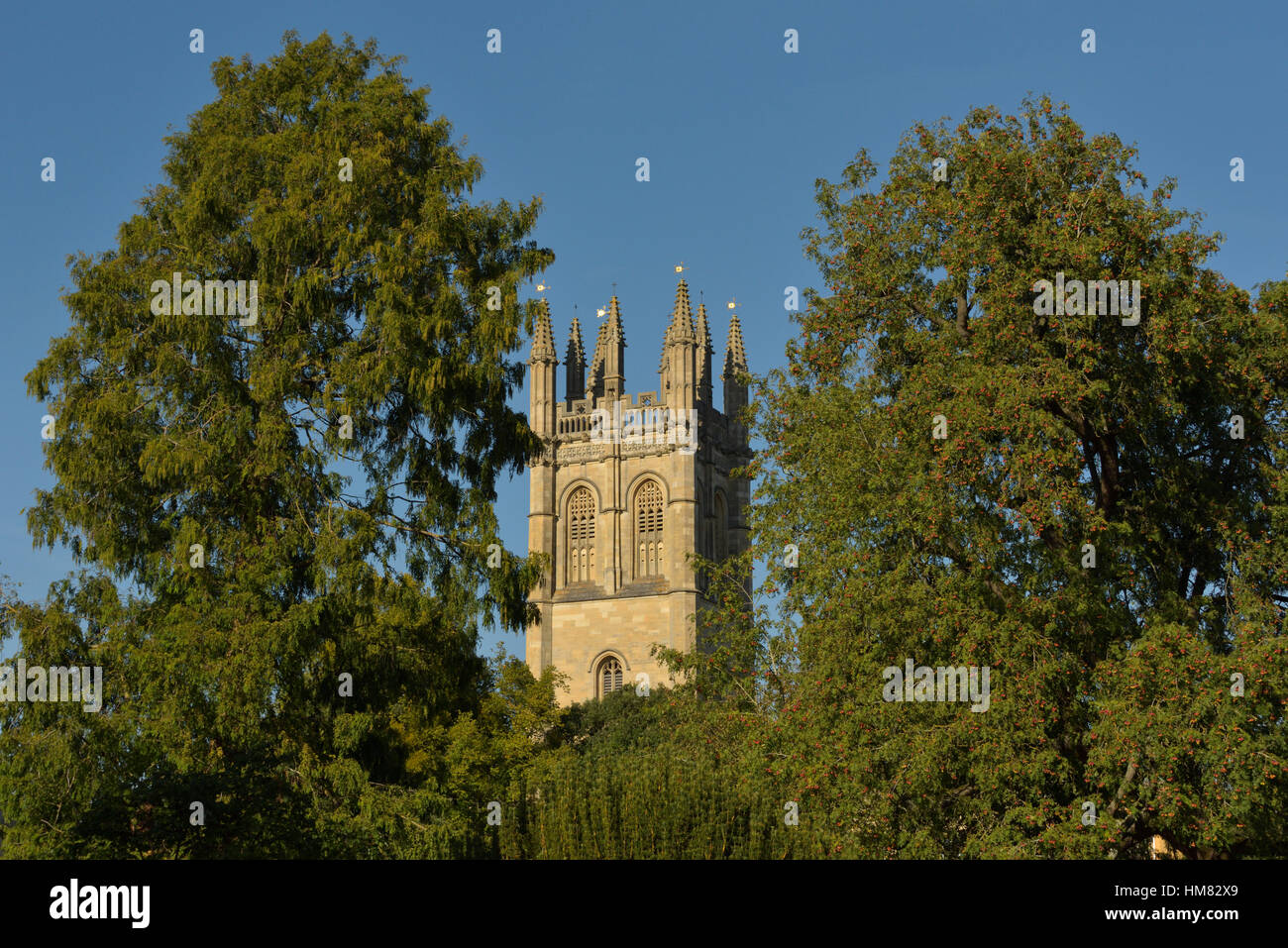 Magdalen College Tower from Oxford Botanic Garden Stock Photo - Alamy
