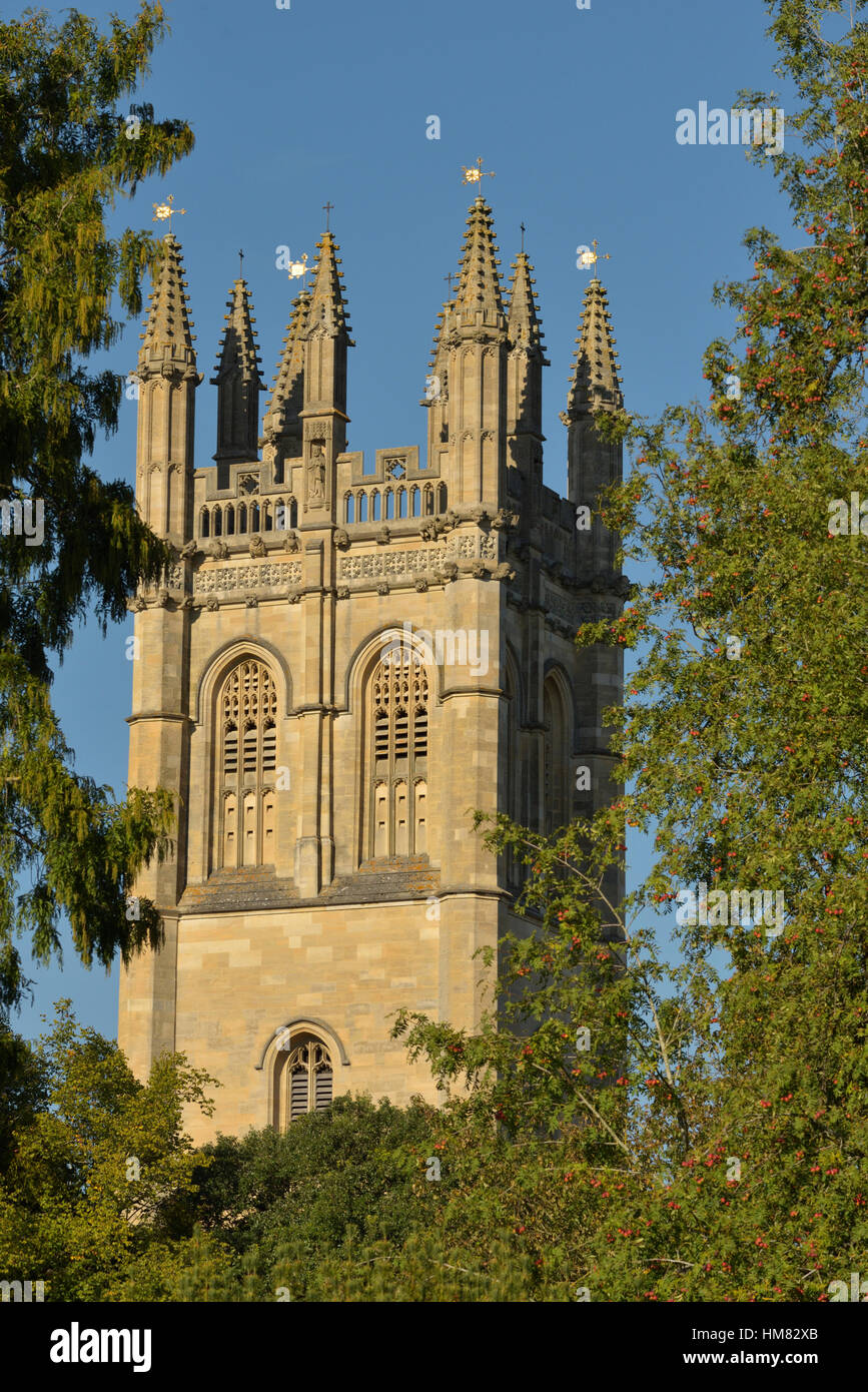 Magdalen College Tower from Oxford Botanic Garden Stock Photo - Alamy