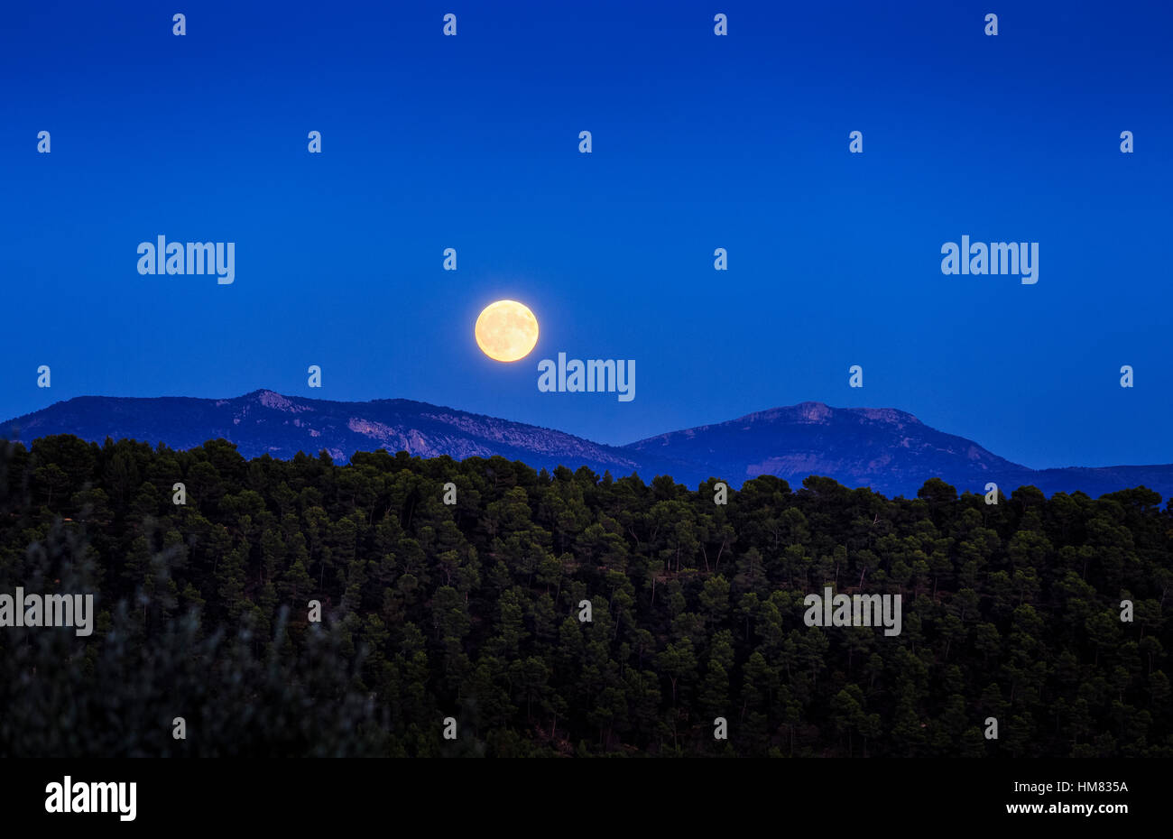 Full moon rising over forest ,Vaucluse, Provence, France Stock Photo ...