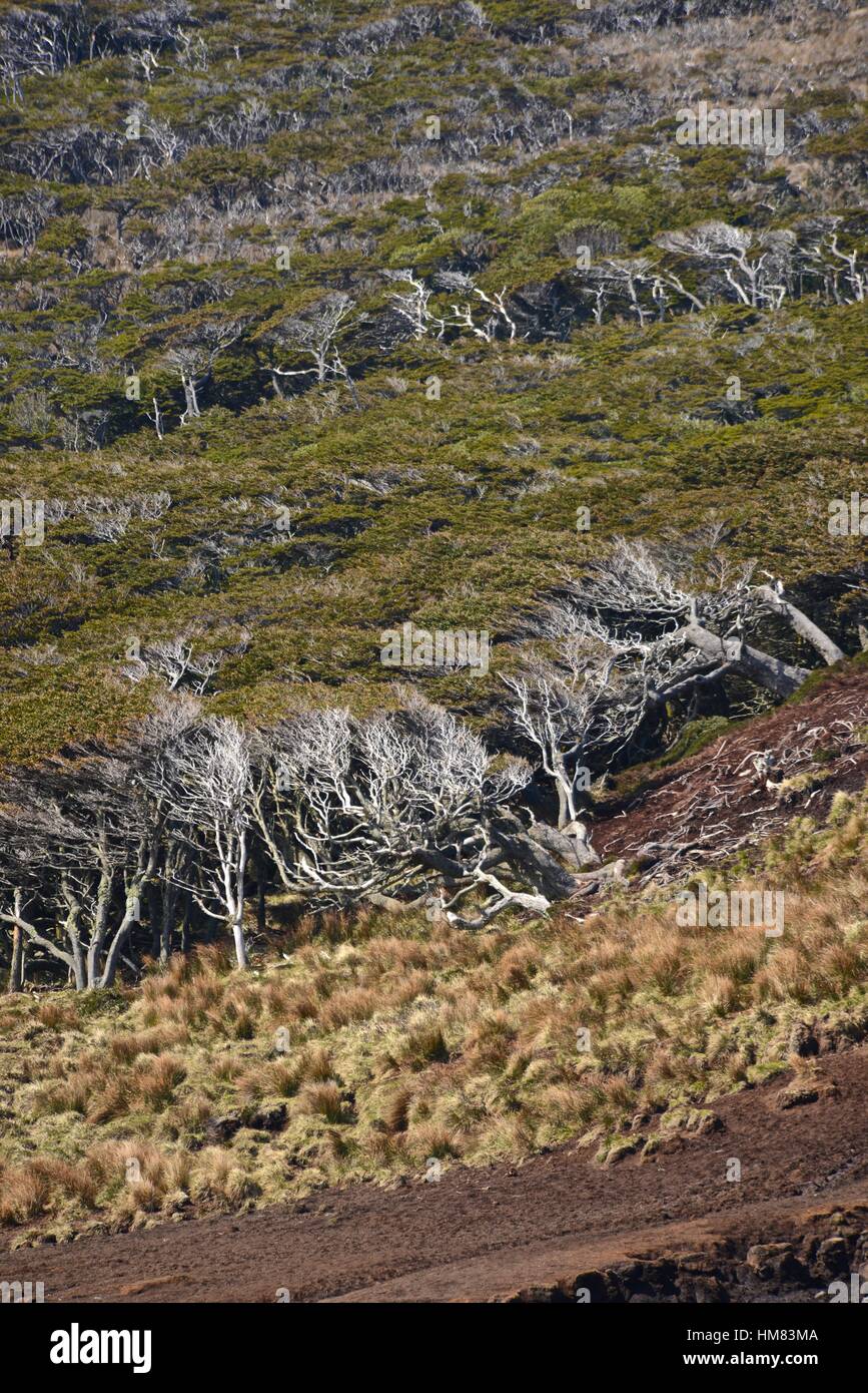 Isla de los estados hi-res stock photography and images - Alamy