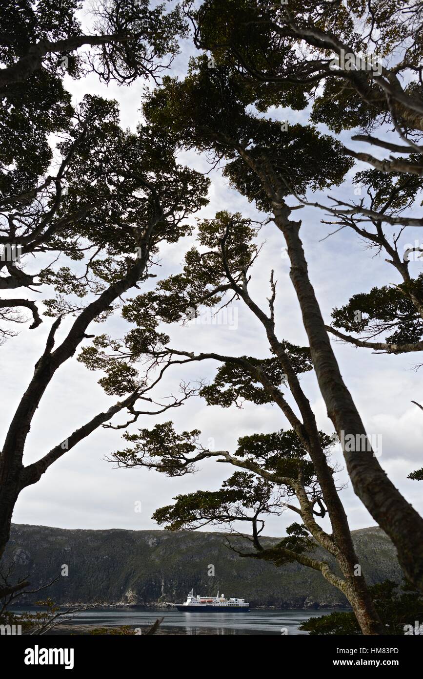 Lindblad explorer hi-res stock photography and images - Alamy