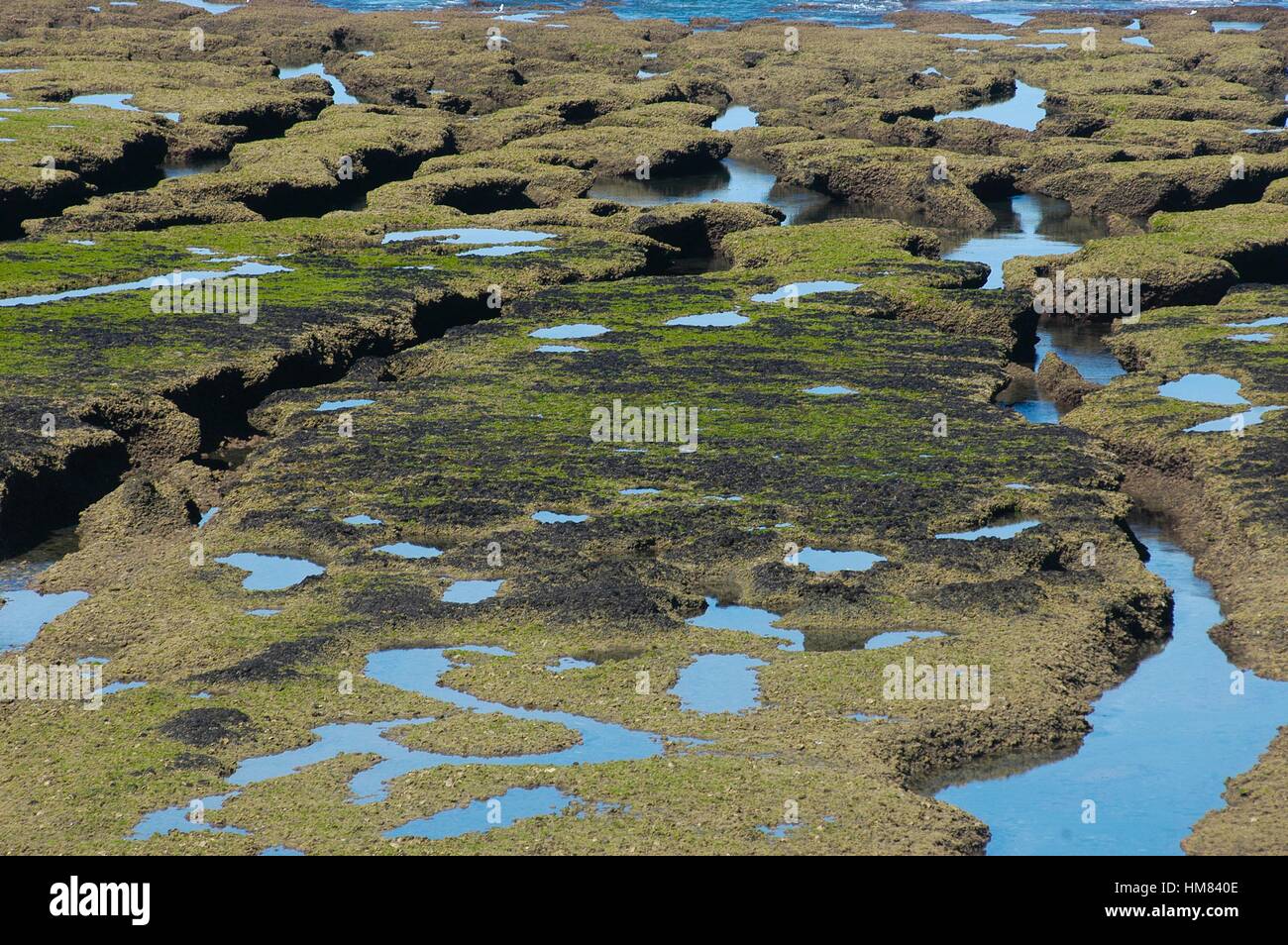 The Valdes Peninsula (Spanish Peni?nsula Valde?s), UNESCO World ...