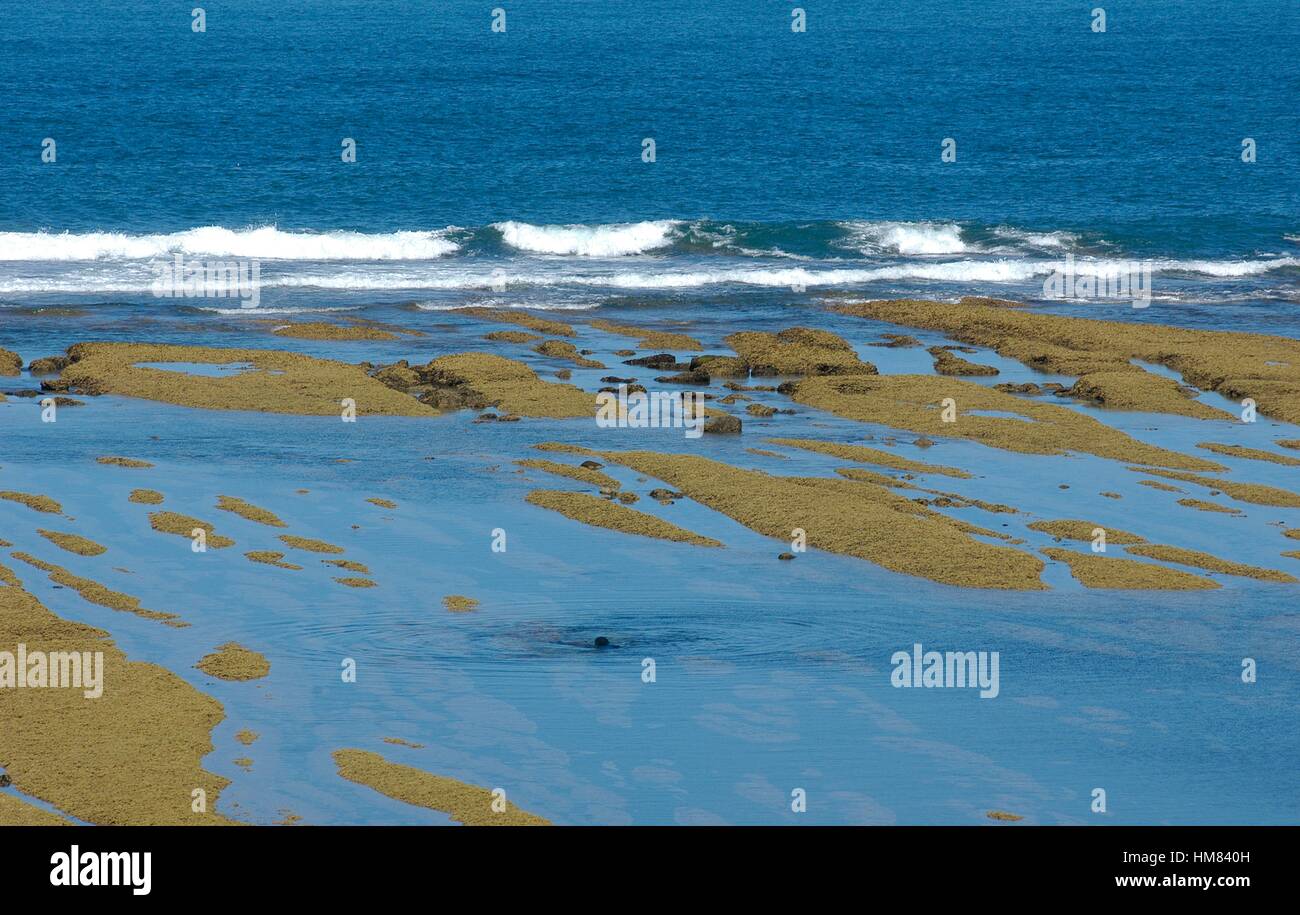 The Valdes Peninsula (Spanish Peni?nsula Valde?s), UNESCO World ...