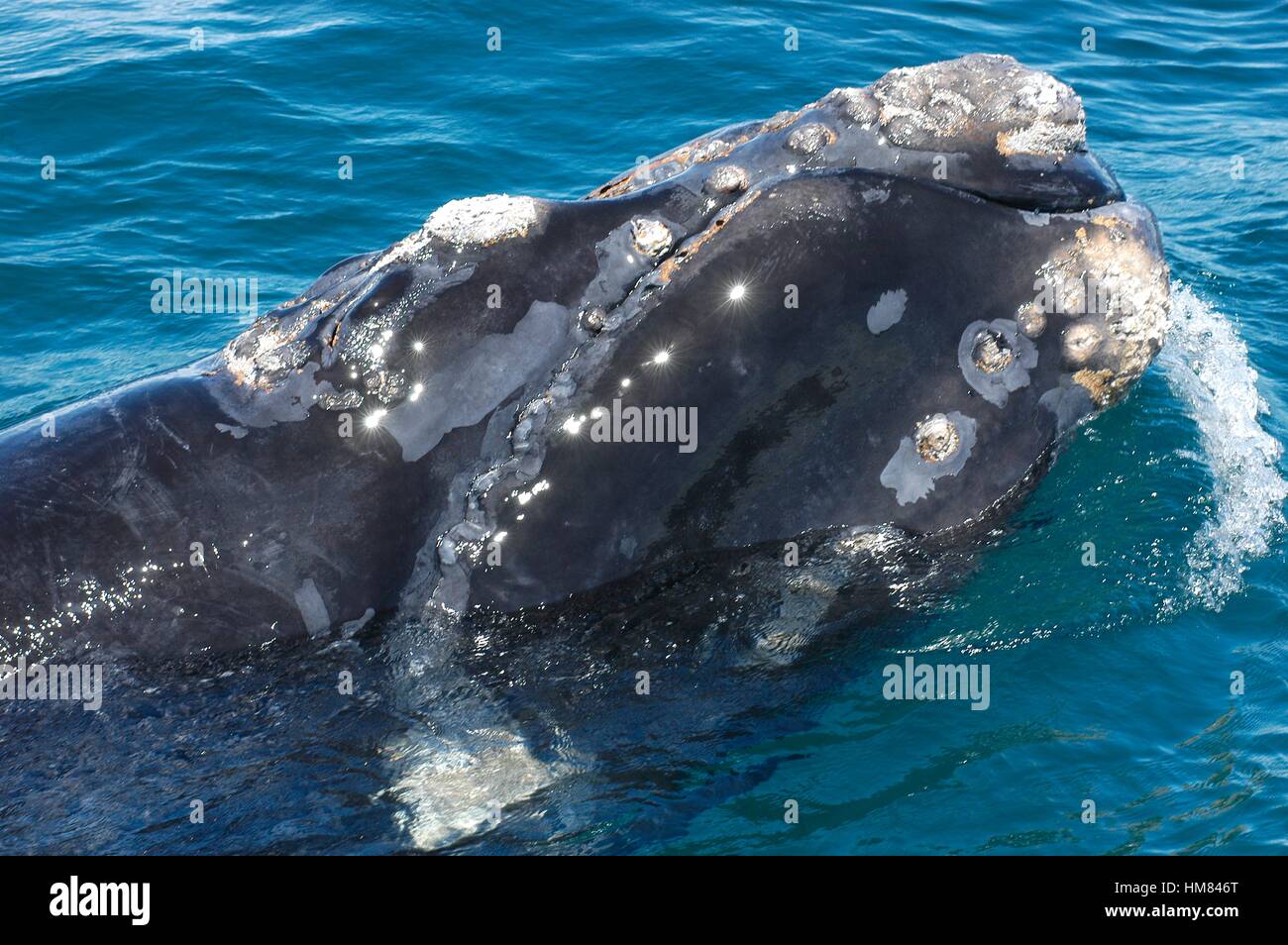 The Valdes Peninsula (Spanish Peni?nsula Valde?s), UNESCO World ...