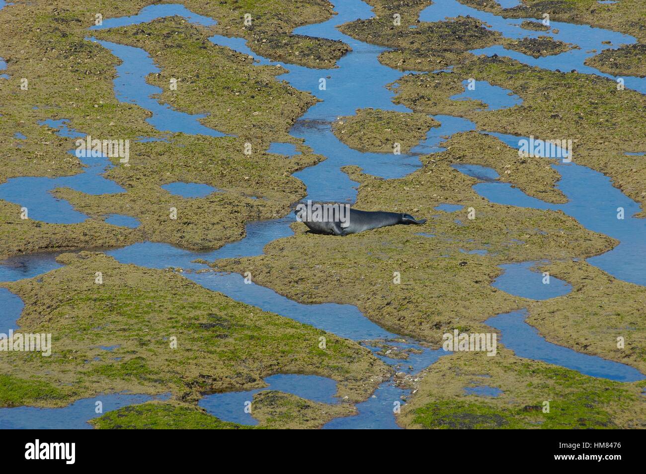 The Valdes Peninsula (Spanish Peni?nsula Valde?s), UNESCO World ...