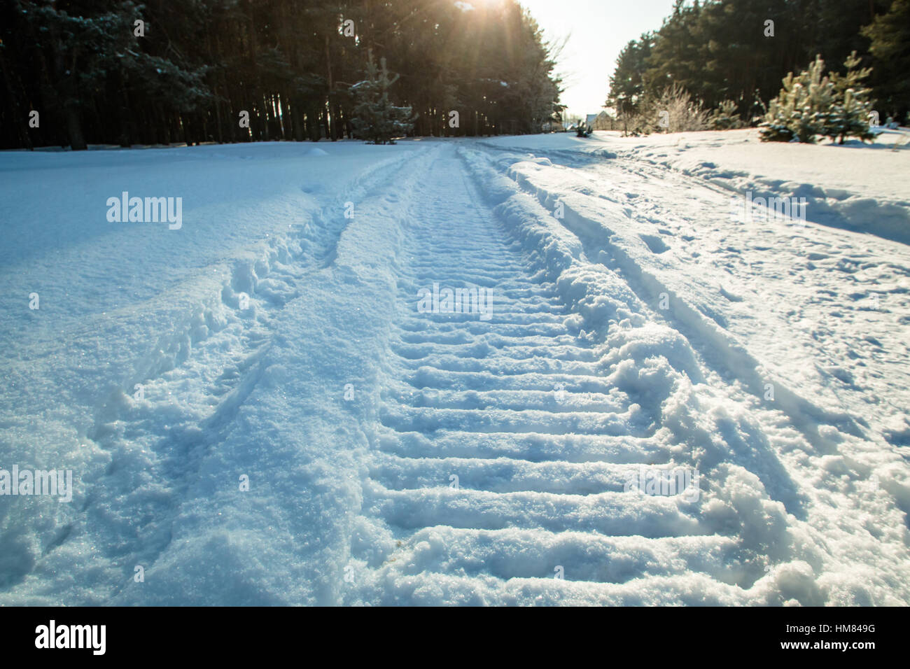 Close-up of a snowmobile trace on snow and sun Stock Photo - Alamy