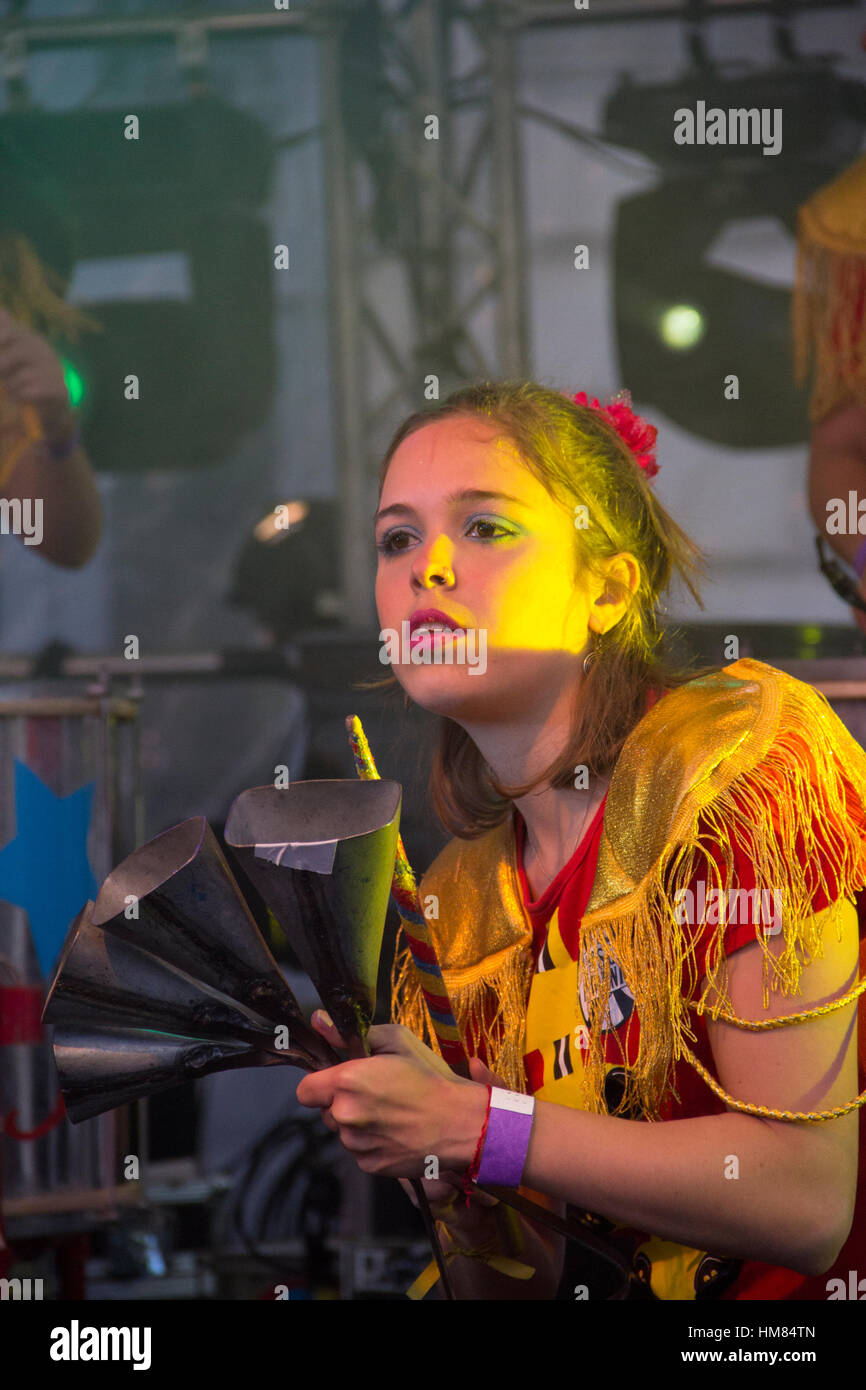 Musician on stage Stock Photo - Alamy