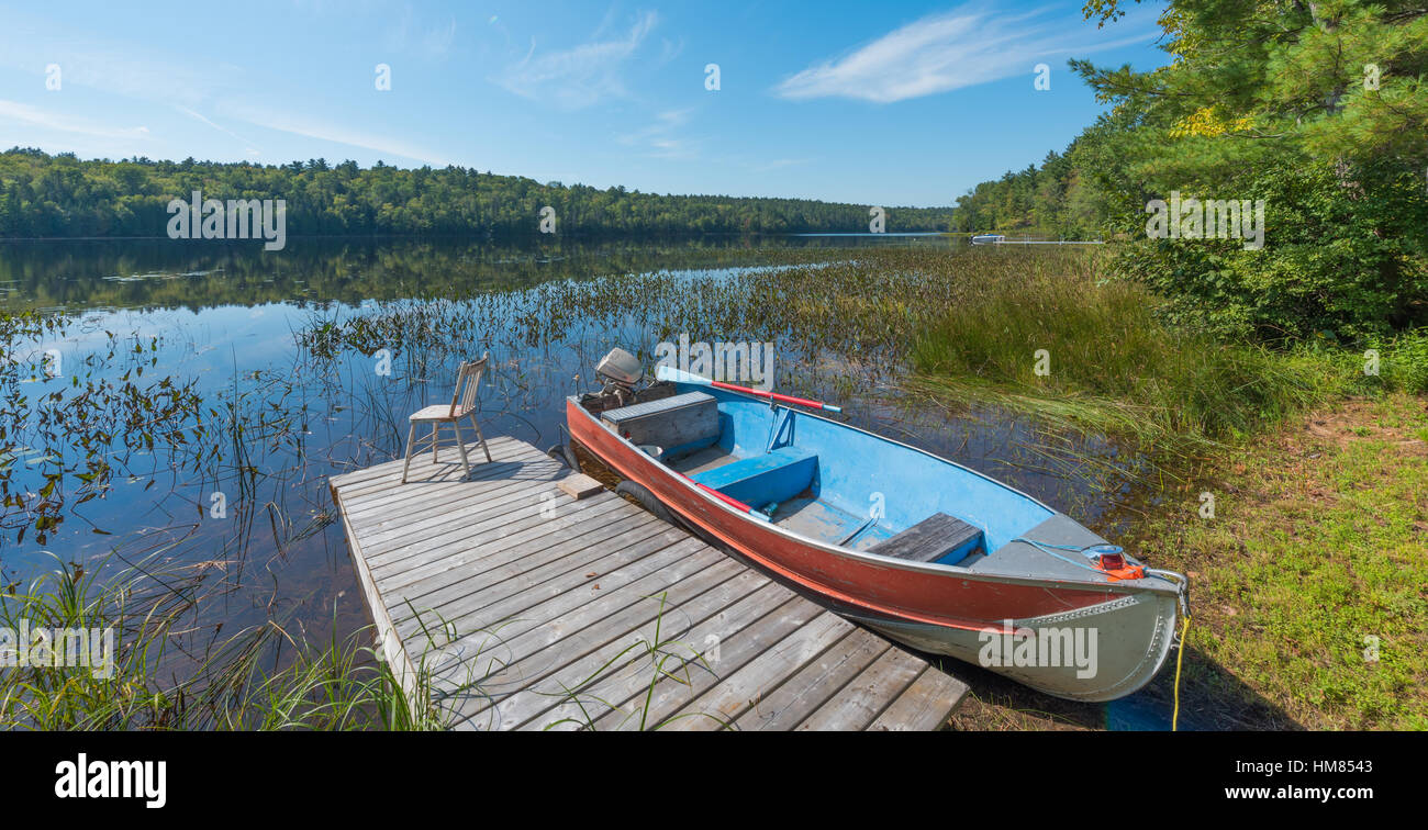 Swan nose hi-res stock photography and images - Alamy