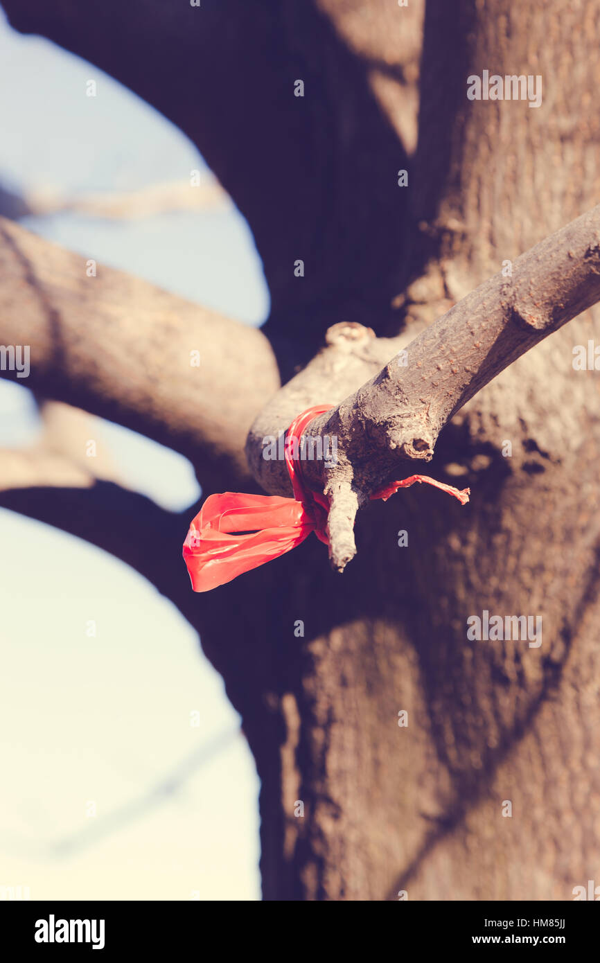 A piece of red plastic is tied to a tree branch, resembling a bow Stock ...