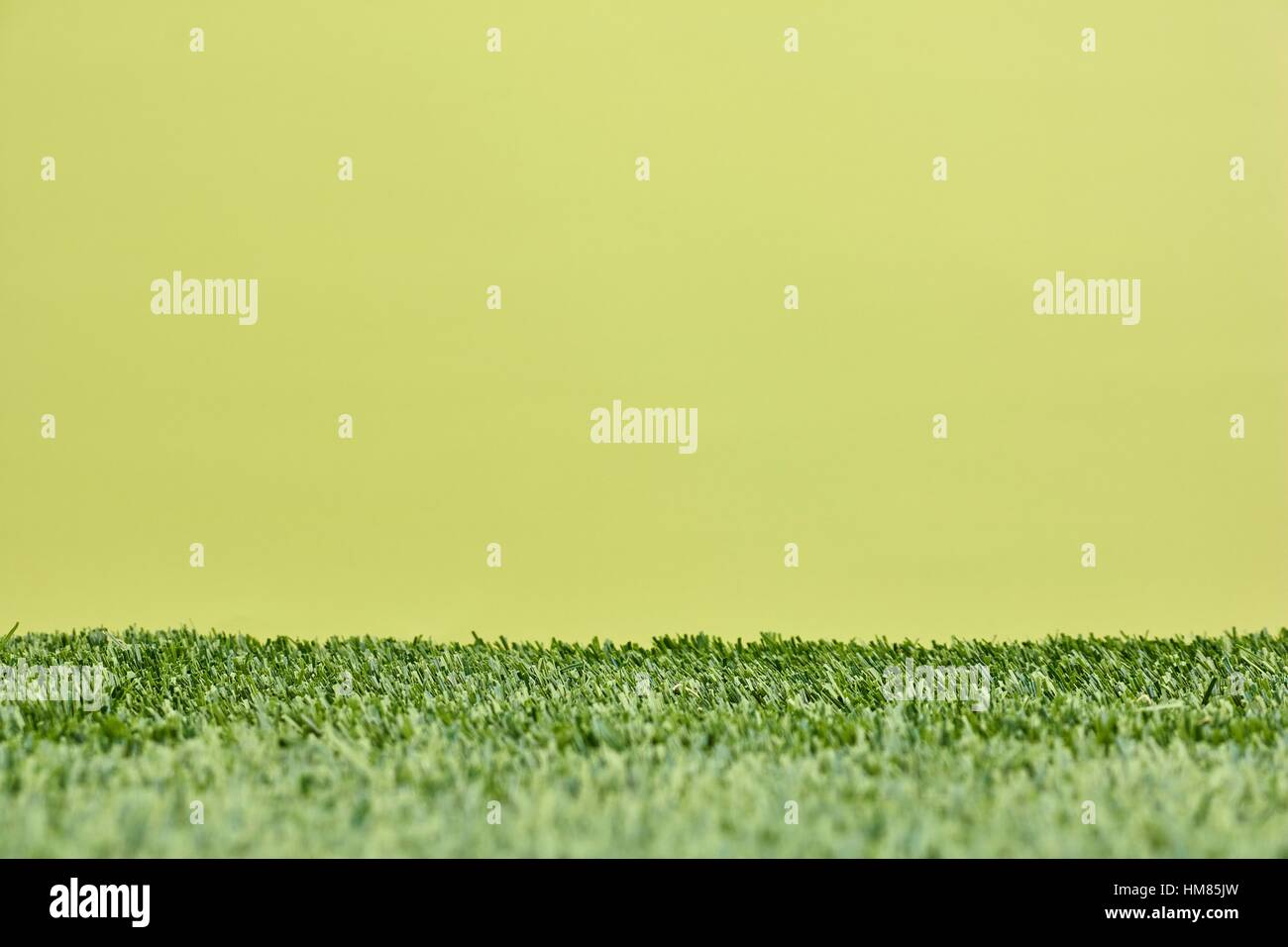 A studio photo of artificial grass with a blue background Stock Photo ...