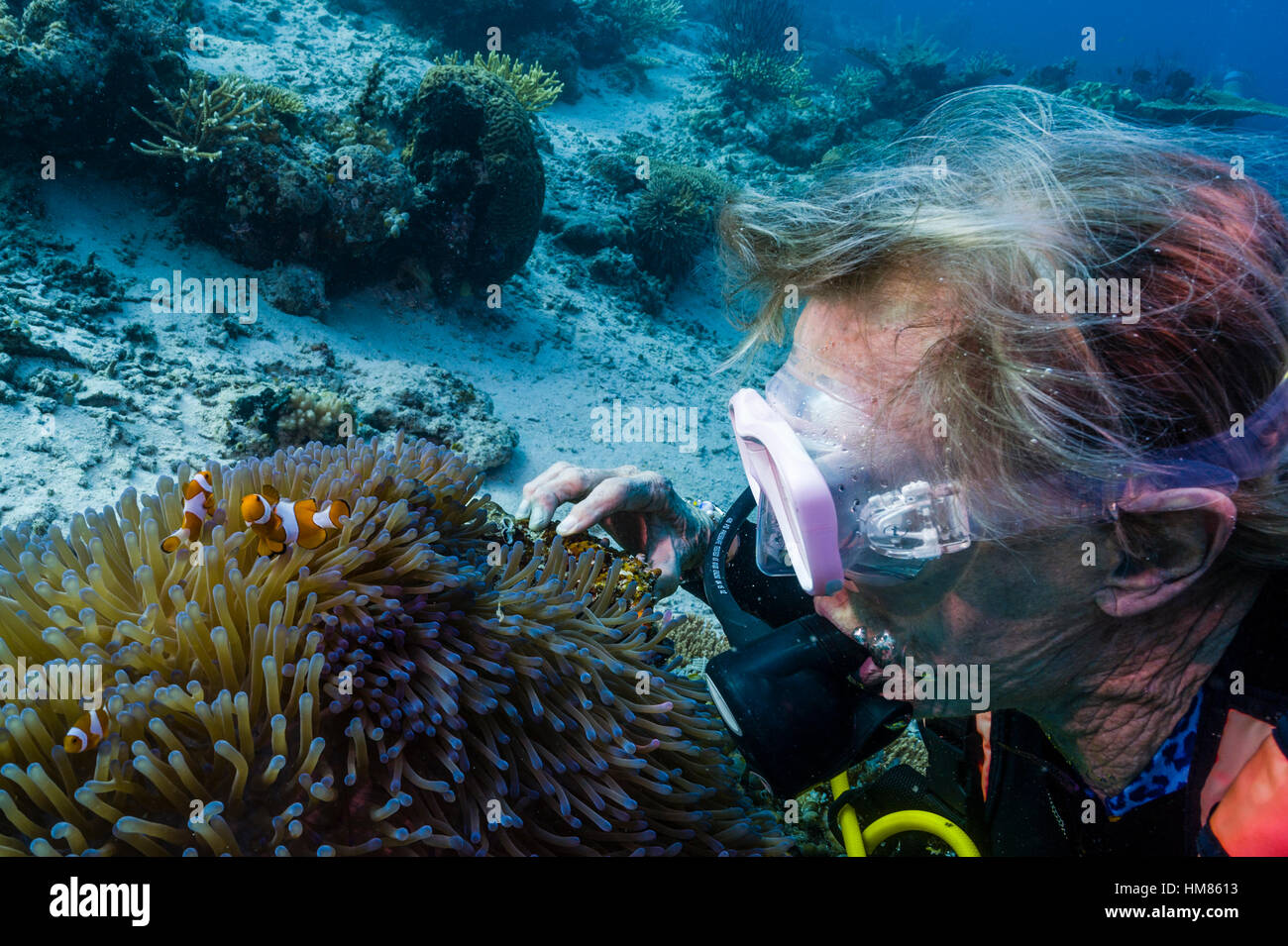 Scuba diver underwater watching hi-res stock photography and images - Alamy