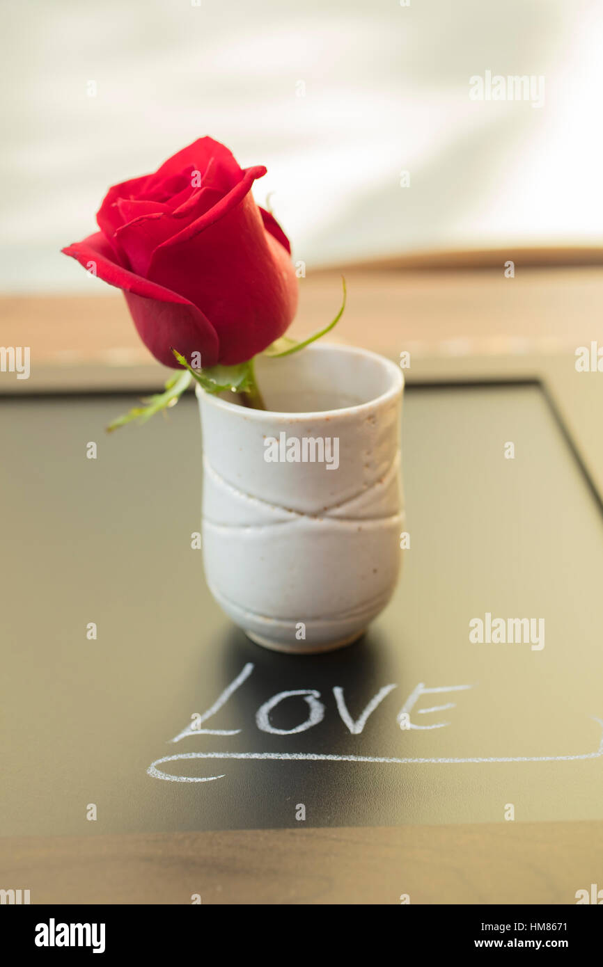 Single Red Rose Gift