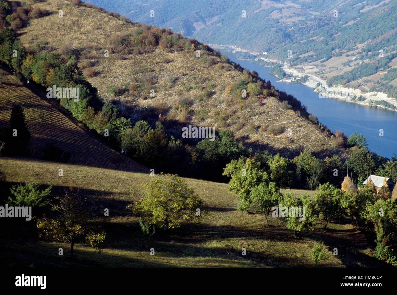 Agricultural landscape with trees and with the Danube river in the ...