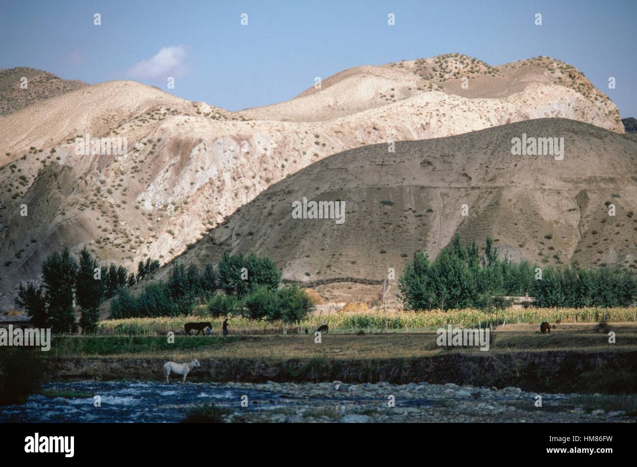 Tian Shan mountain range landscape, Xinjiang, China Stock Photo - Alamy