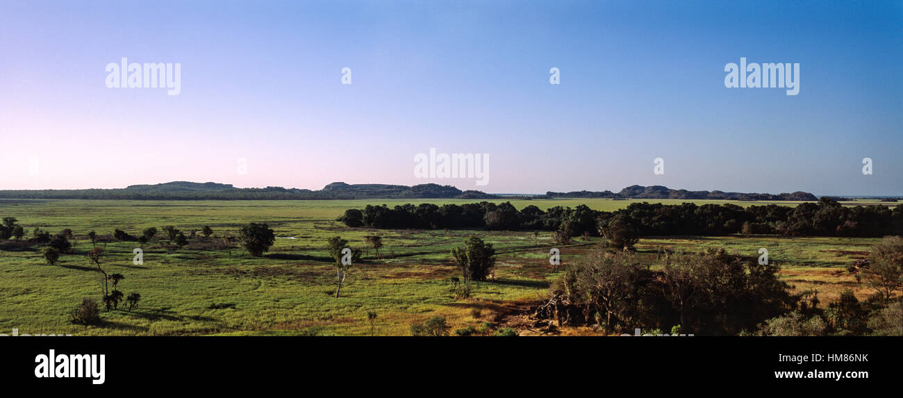 A vast lush floodplain at the height of the Top End, dry season Stock ...