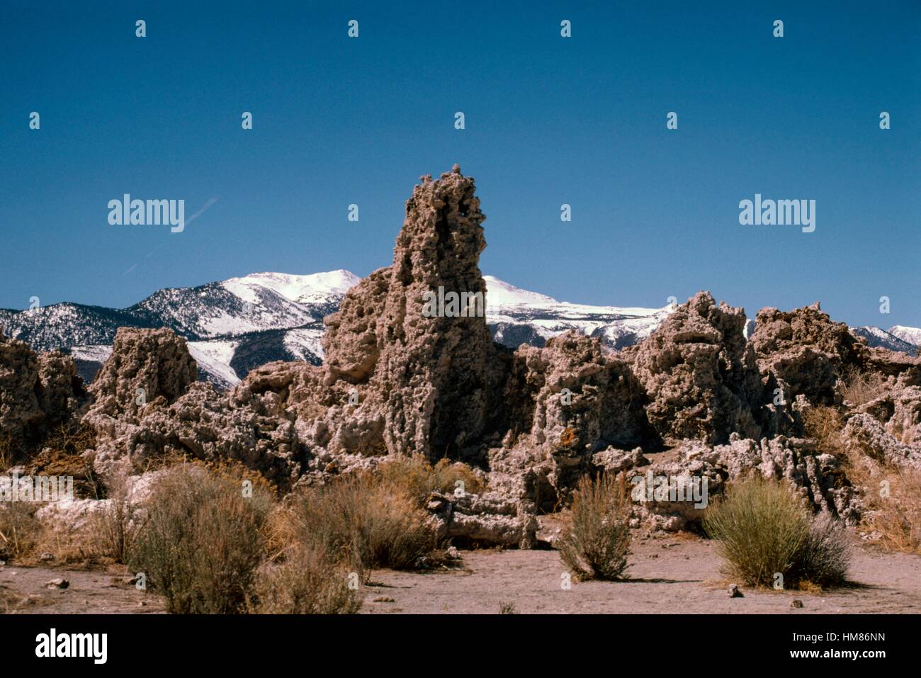 Tufa columns at the alkaline Mono Lake, California, United States of ...
