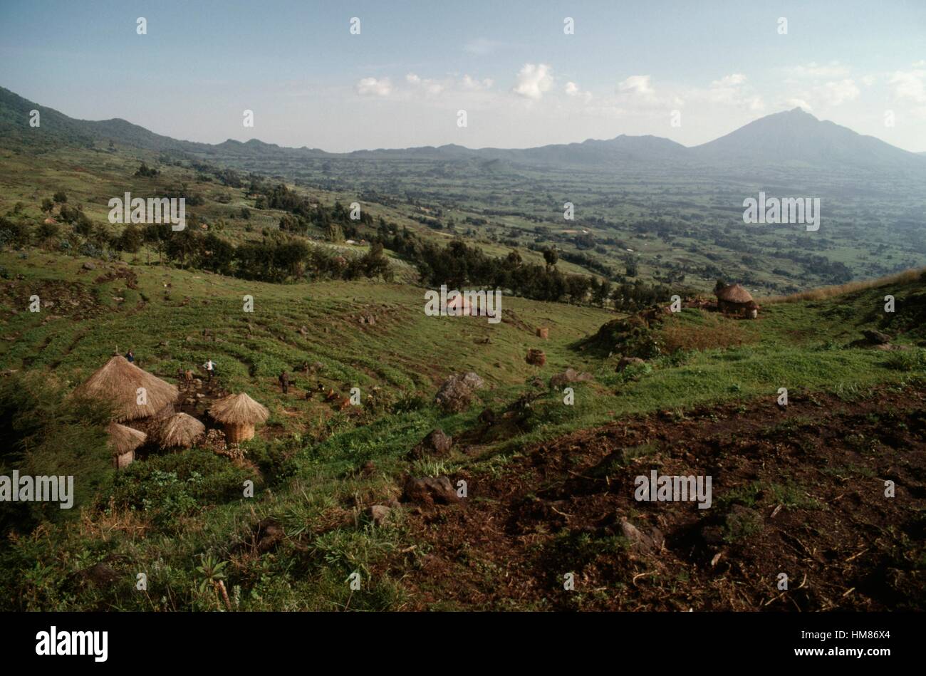 View of Volcanoes National Park, Rwanda Stock Photo - Alamy