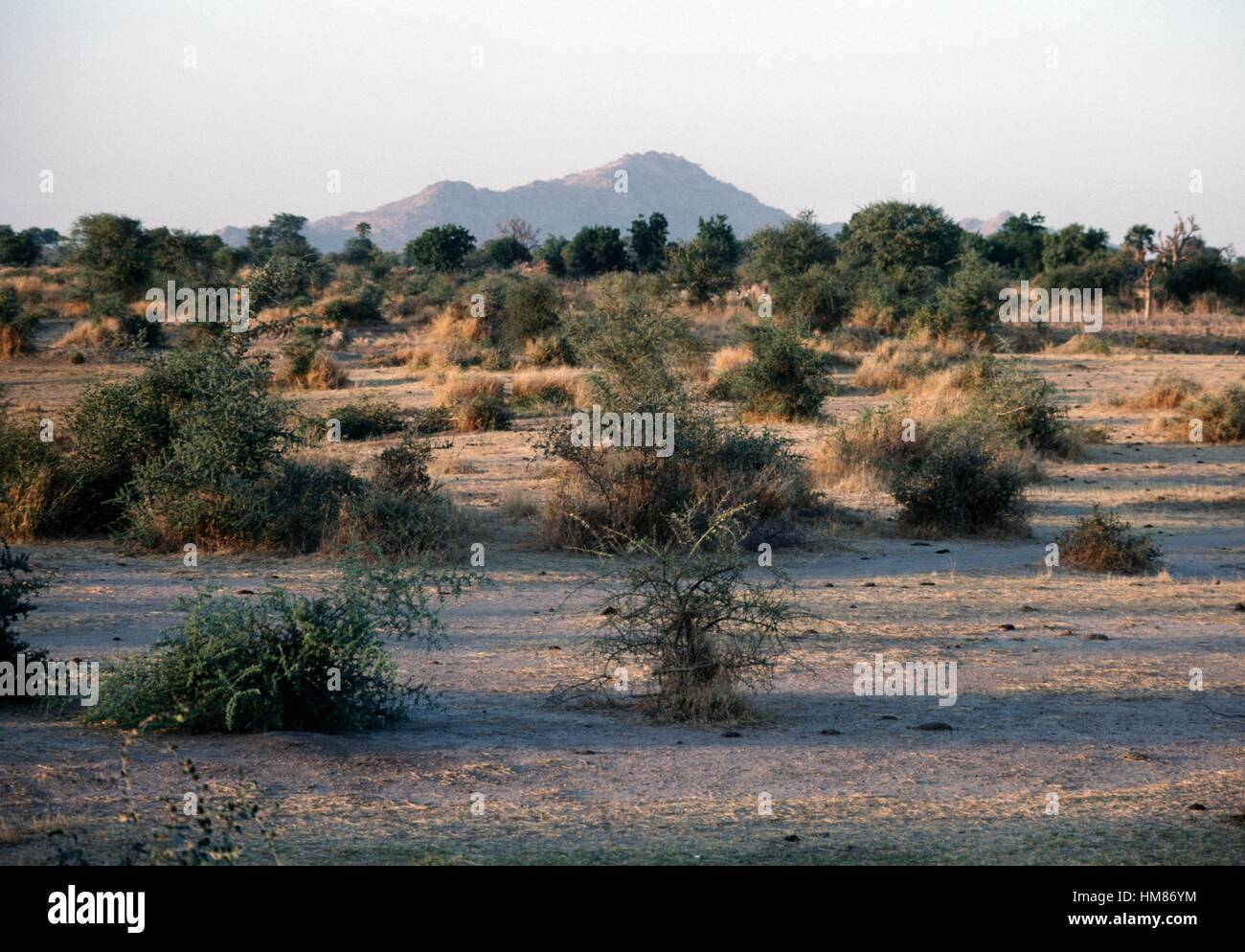 Maroua, cameroon hi-res stock photography and images - Alamy