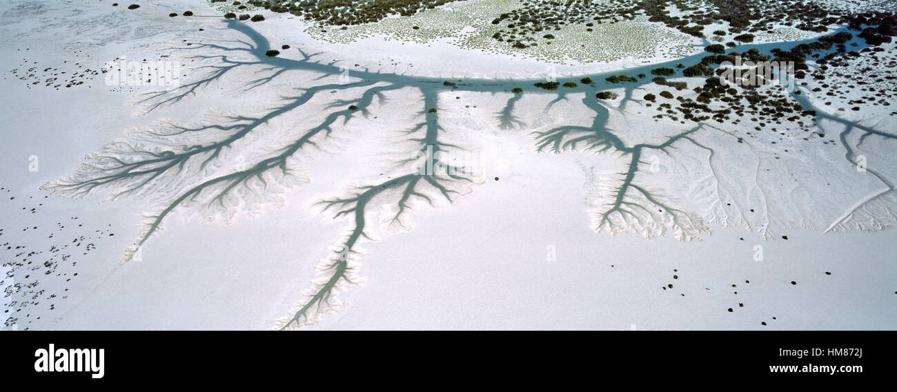 Dendritic Drainage