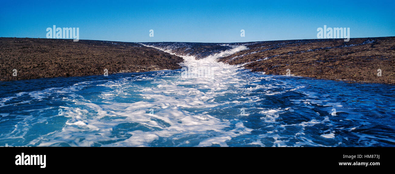 Water cascades from the surface of an exposed coral reef at low tide ...