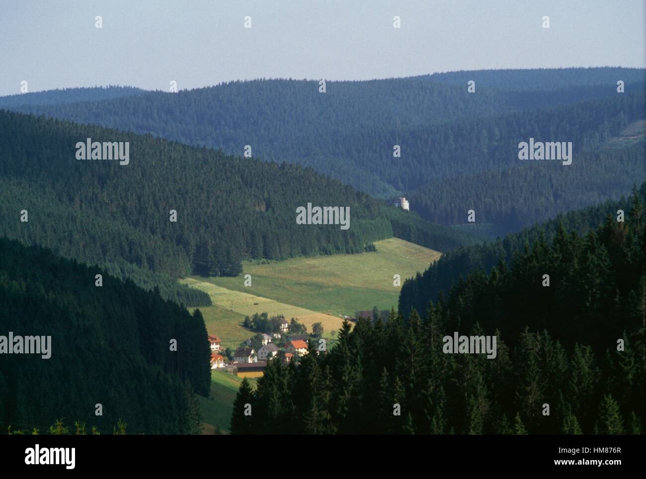 Schonwald im schwarzwald hi-res stock photography and images - Alamy
