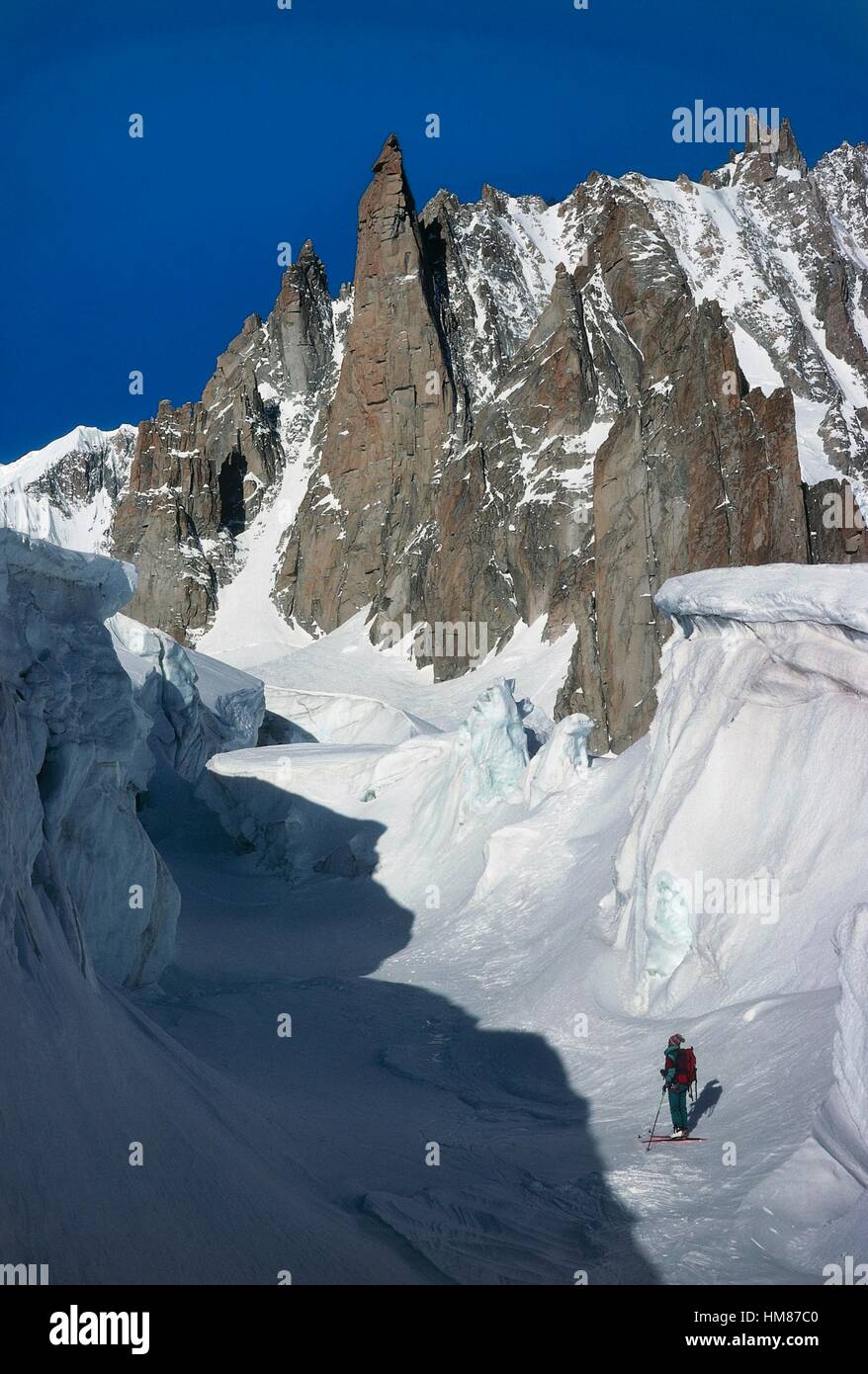 Capucin blanc hi-res stock photography and images - Alamy