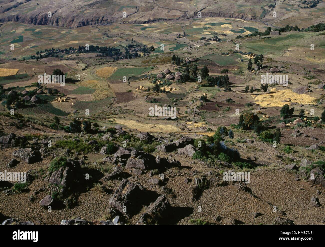 Weldiya hi-res stock photography and images - Alamy