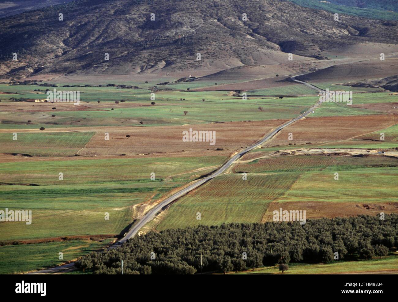 Agricultural landscape near Frenda, Algeria Stock Photo - Alamy