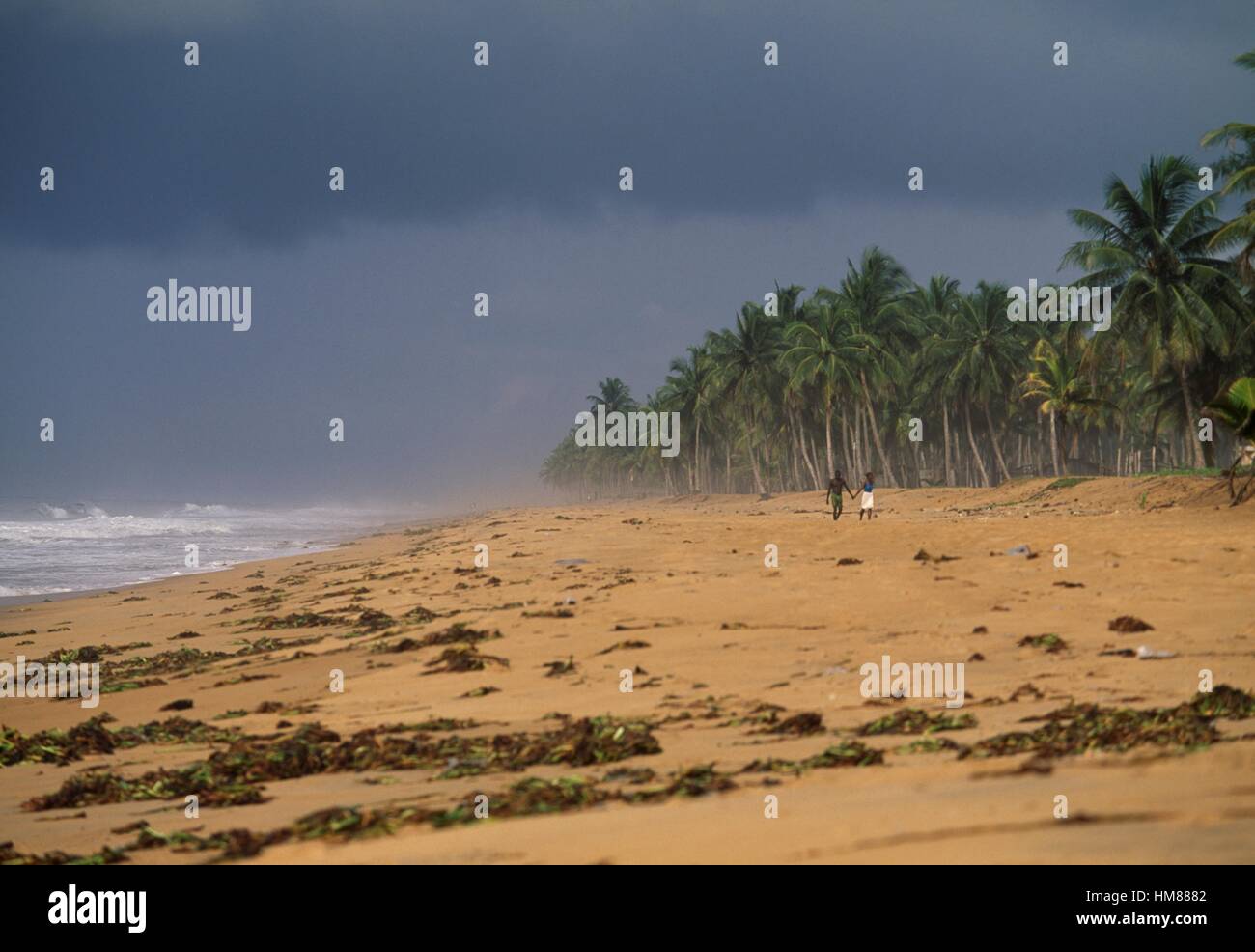 Sand beach with palm trees, Grand Bassam, Ivory Coast Stock Photo - Alamy