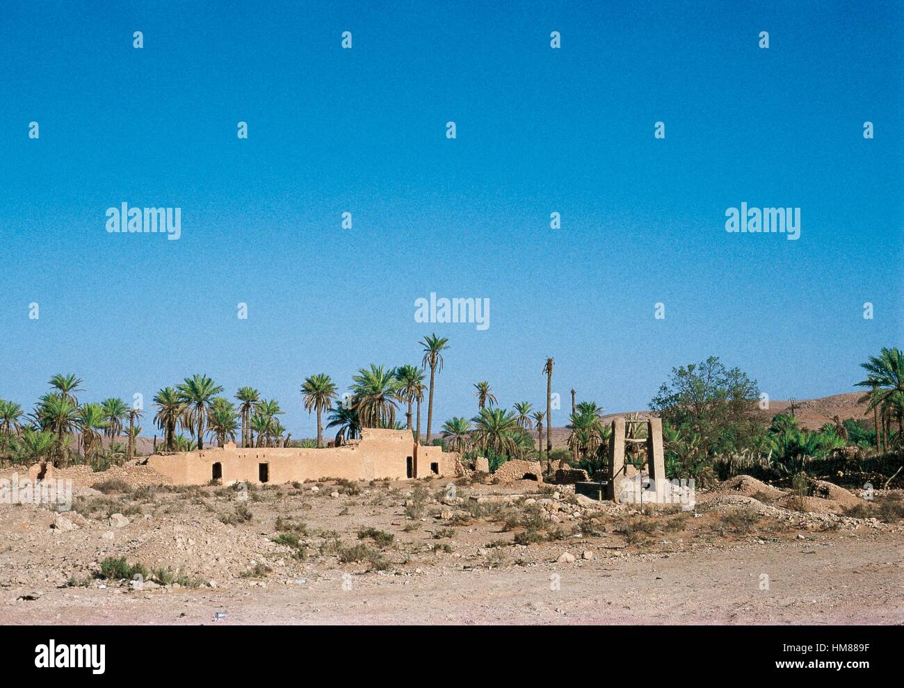 Oasis with a well and palm trees, Sahara Desert, Algeria Stock Photo ...