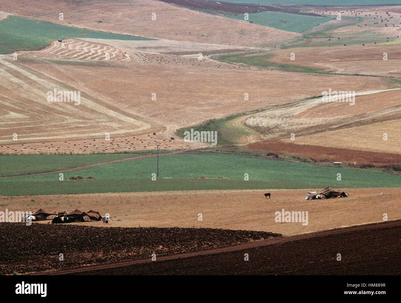 Agricultural landscape near Djemila, Algeria Stock Photo - Alamy