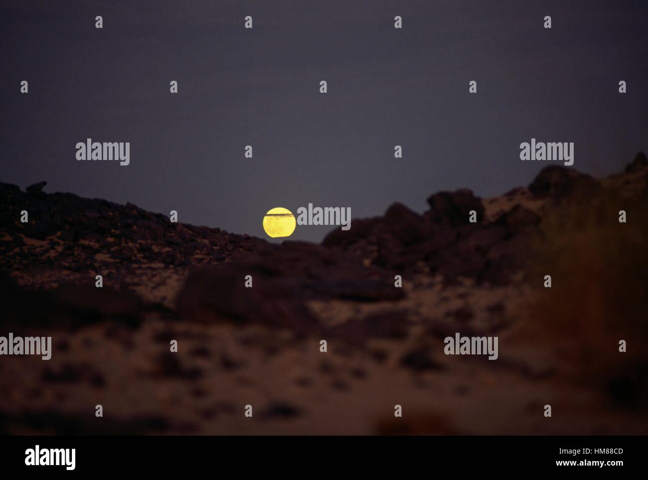 View of Bayuda Desert, moonlight, Sudan Stock Photo - Alamy