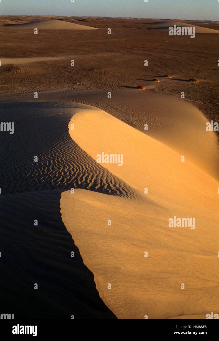 Sand dunes near ancient city dongola hi-res stock photography and ...