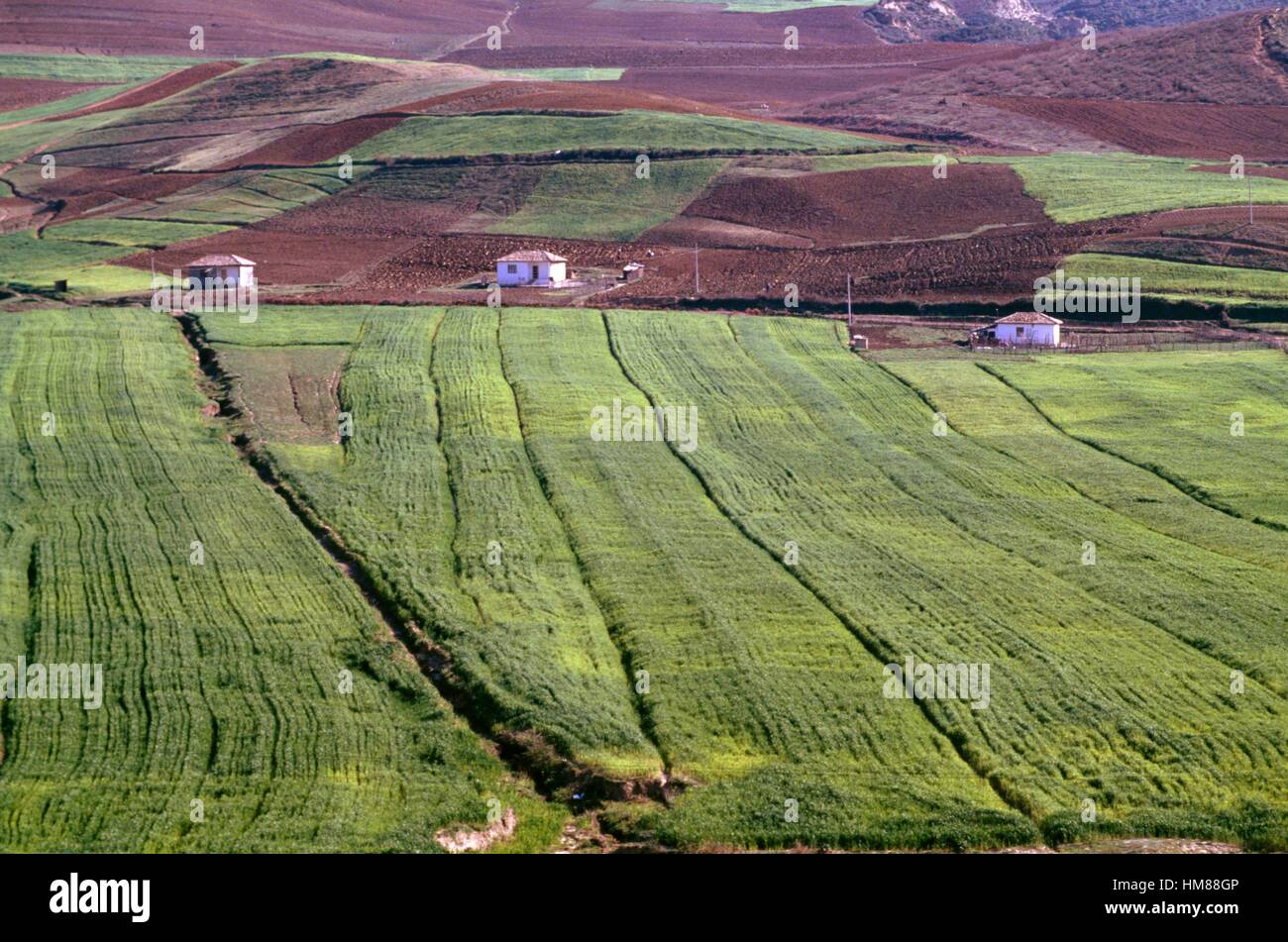 Cultivated fields near Ballsh, Albania Stock Photo - Alamy