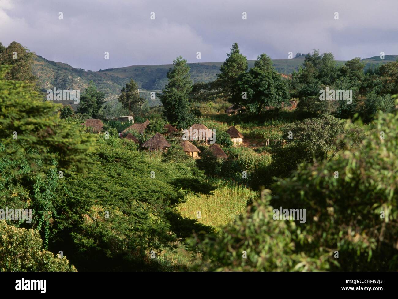 Traditional houses, Chimanimani National Park, Zimbabwe Stock Photo - Alamy