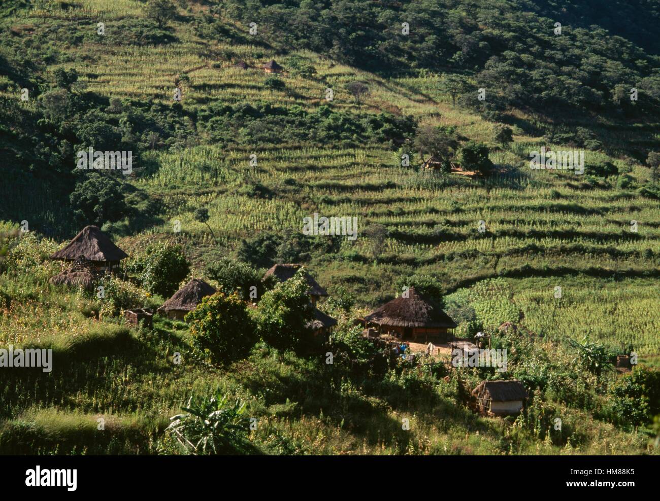 Crops and traditional houses, Chimanimani National Park, Zimbabwe Stock ...