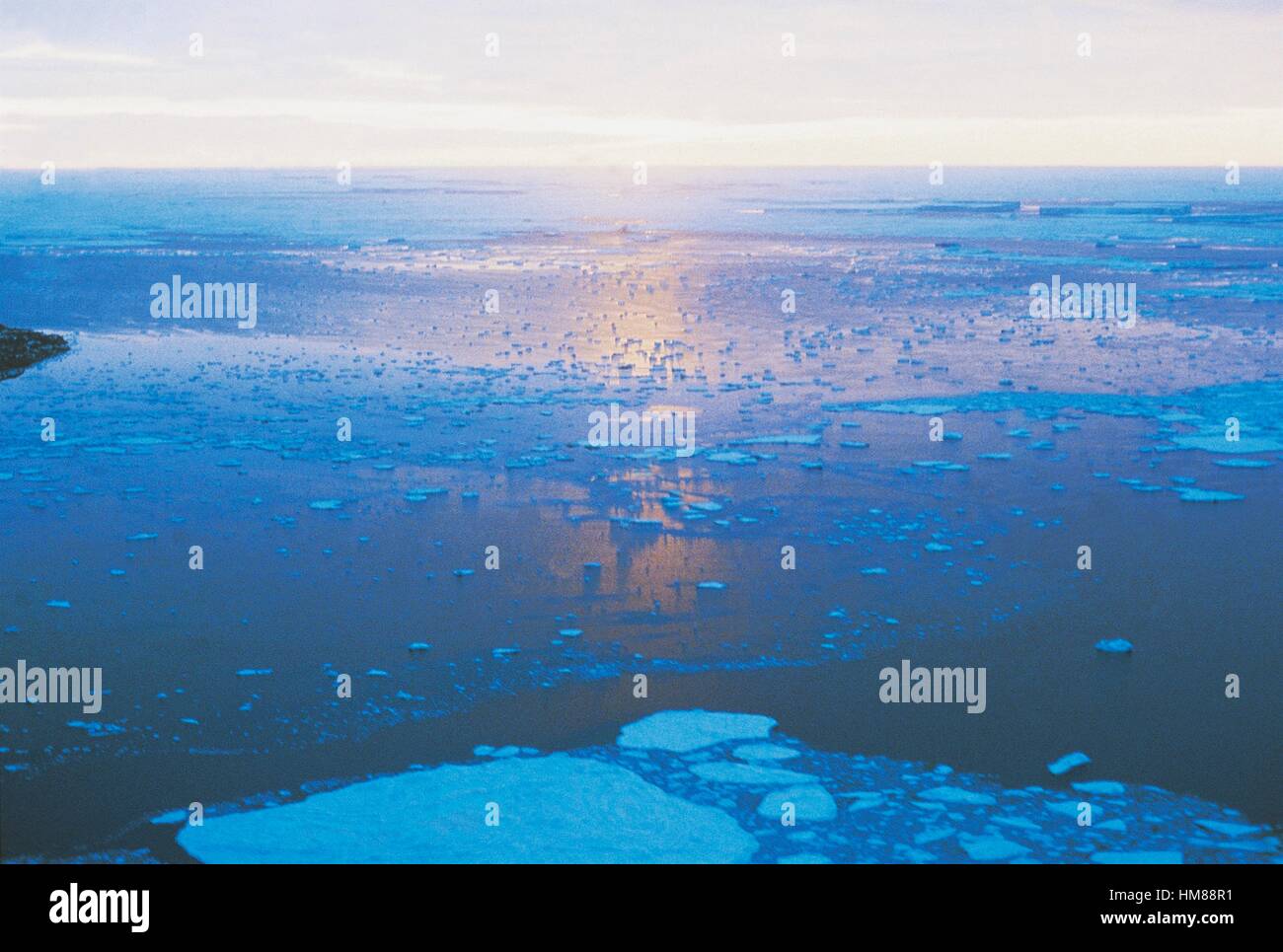 Icepack, sea ice layer created by the disintegration of the ice shelf ...