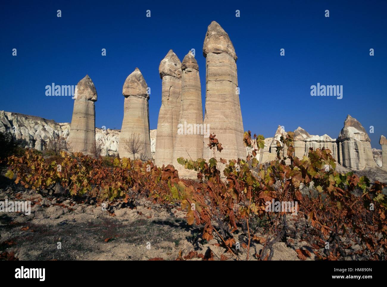 Peri bacalari hi-res stock photography and images - Alamy