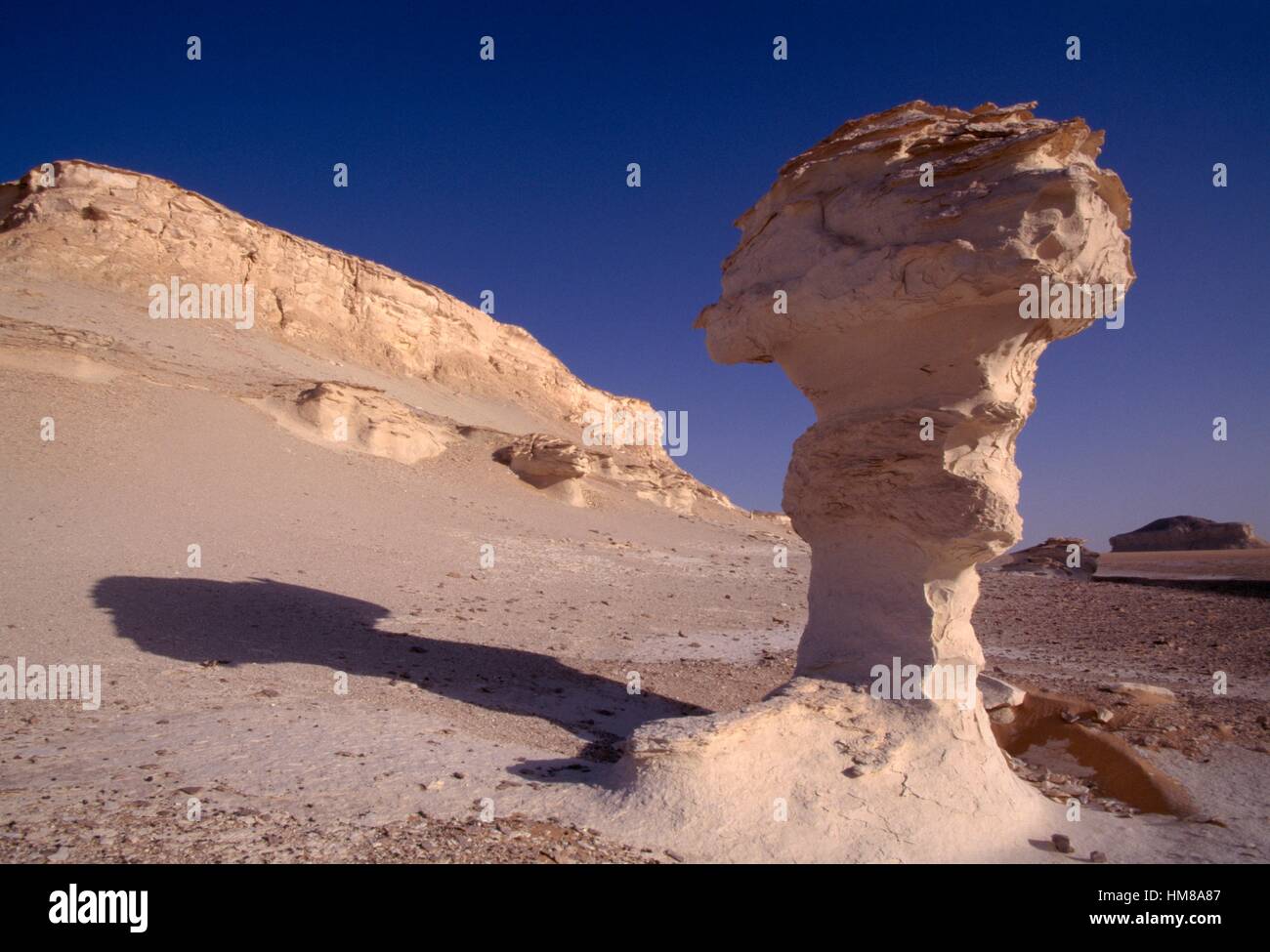 Limestone formations, White desert, north of the Farafra oasis, Libyan ...