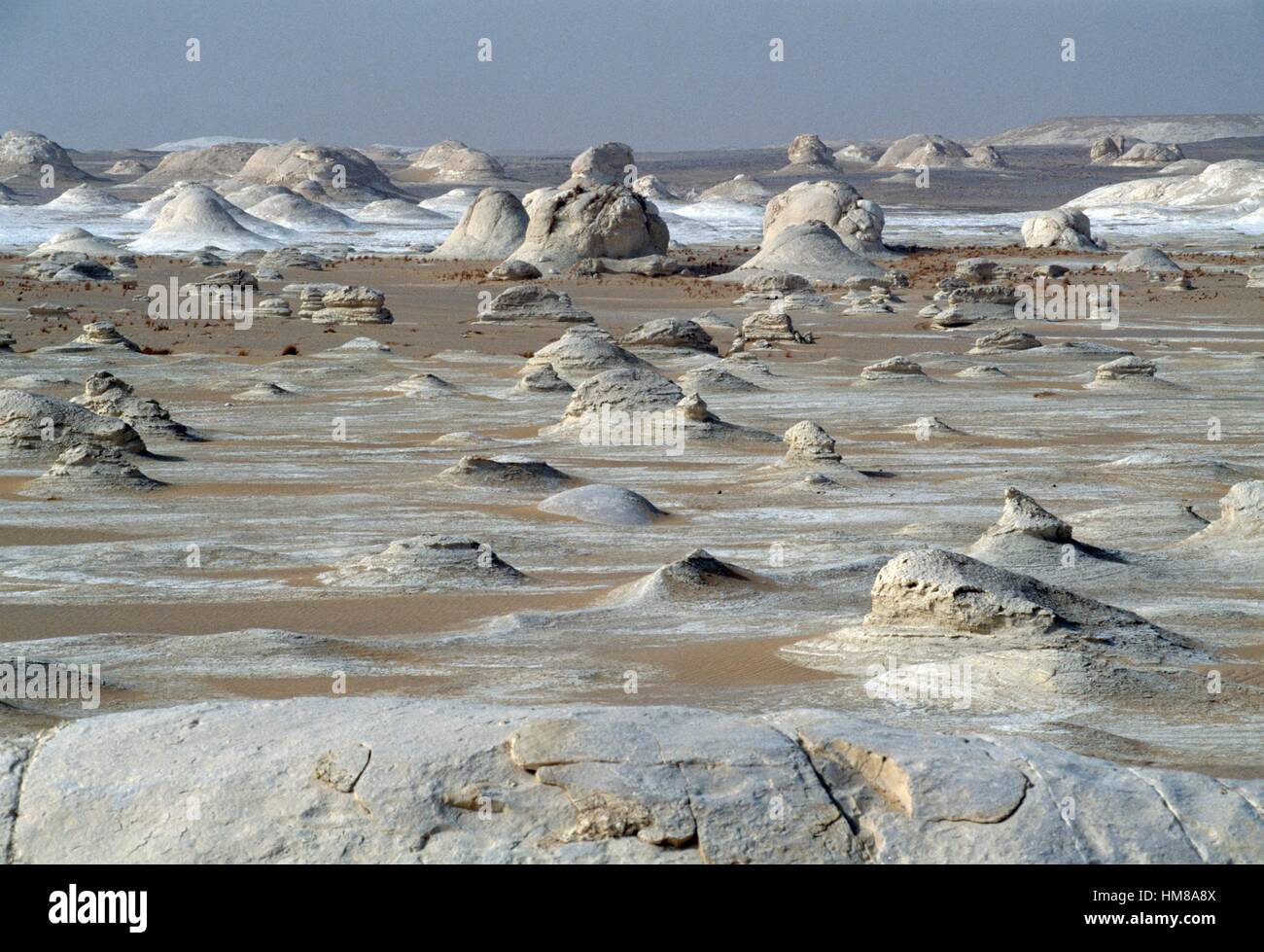 Limestone formations, White desert, north of the Farafra oasis, Libyan ...
