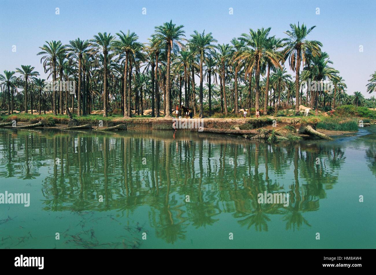 Iraq shatt al arab hi-res stock photography and images - Alamy
