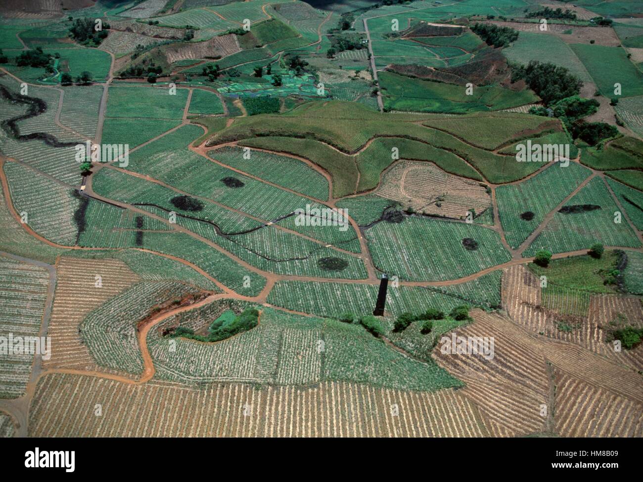 Agricultural landscape, aerial view, Mauritius Stock Photo - Alamy
