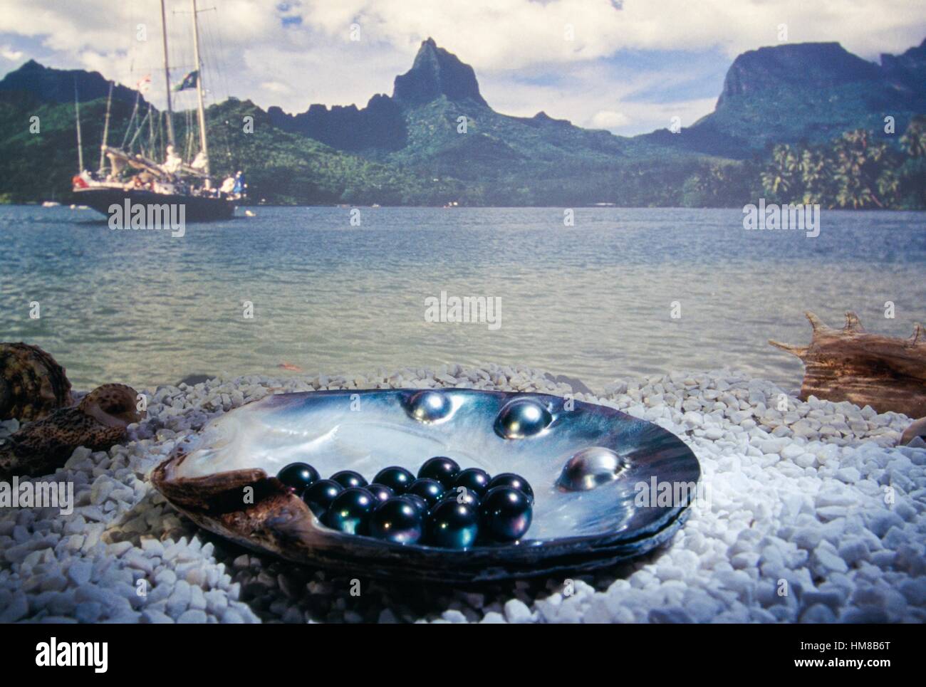Black pearls, French Polynesia Stock Photo - Alamy