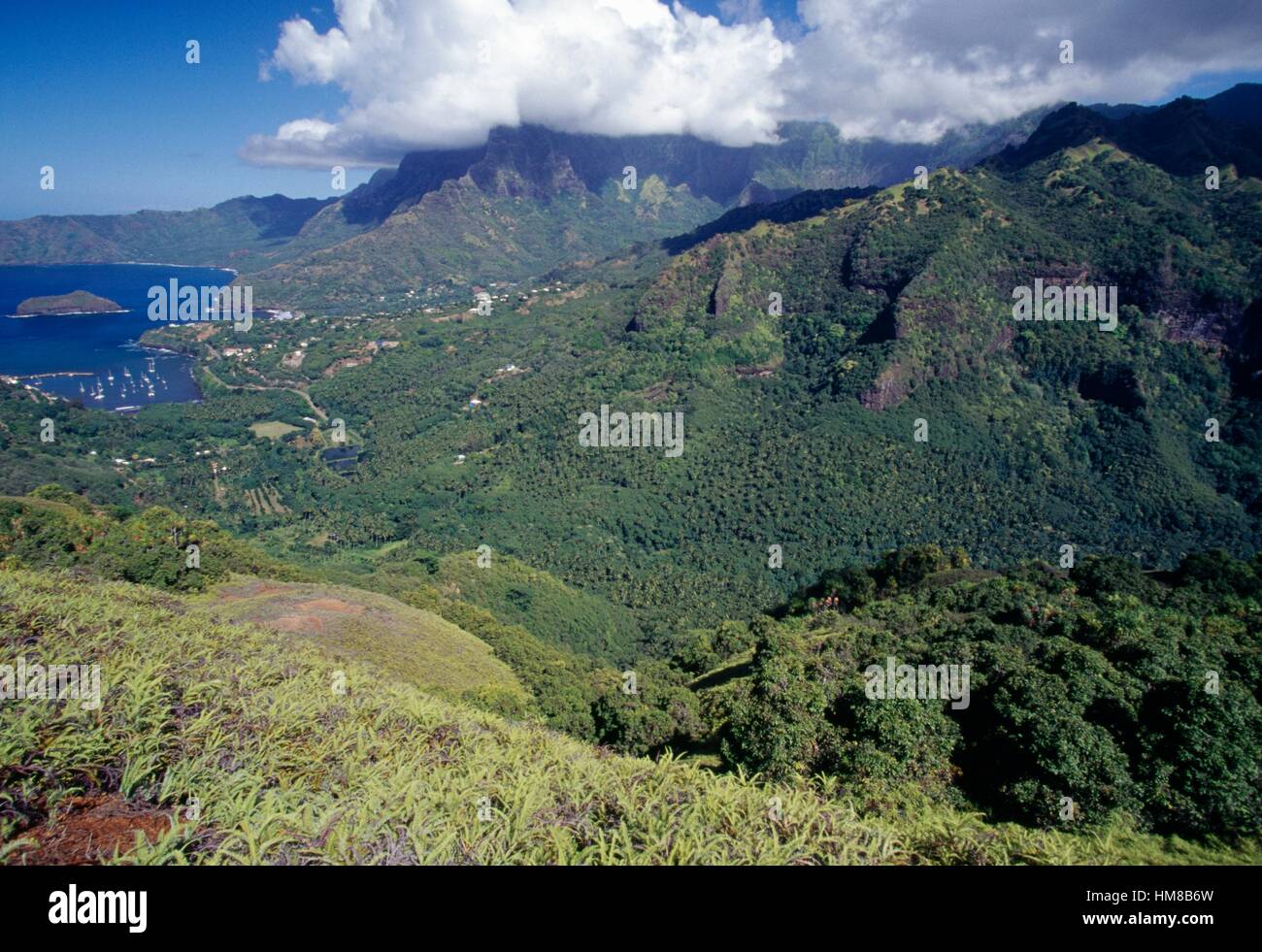 Landscape with dense vegetation overlooking Atuona bay, Hiva Oa ...
