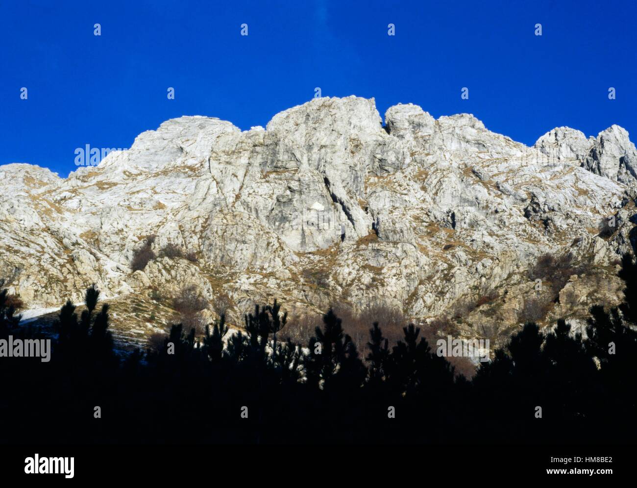 Cresta garnerone hi-res stock photography and images - Alamy