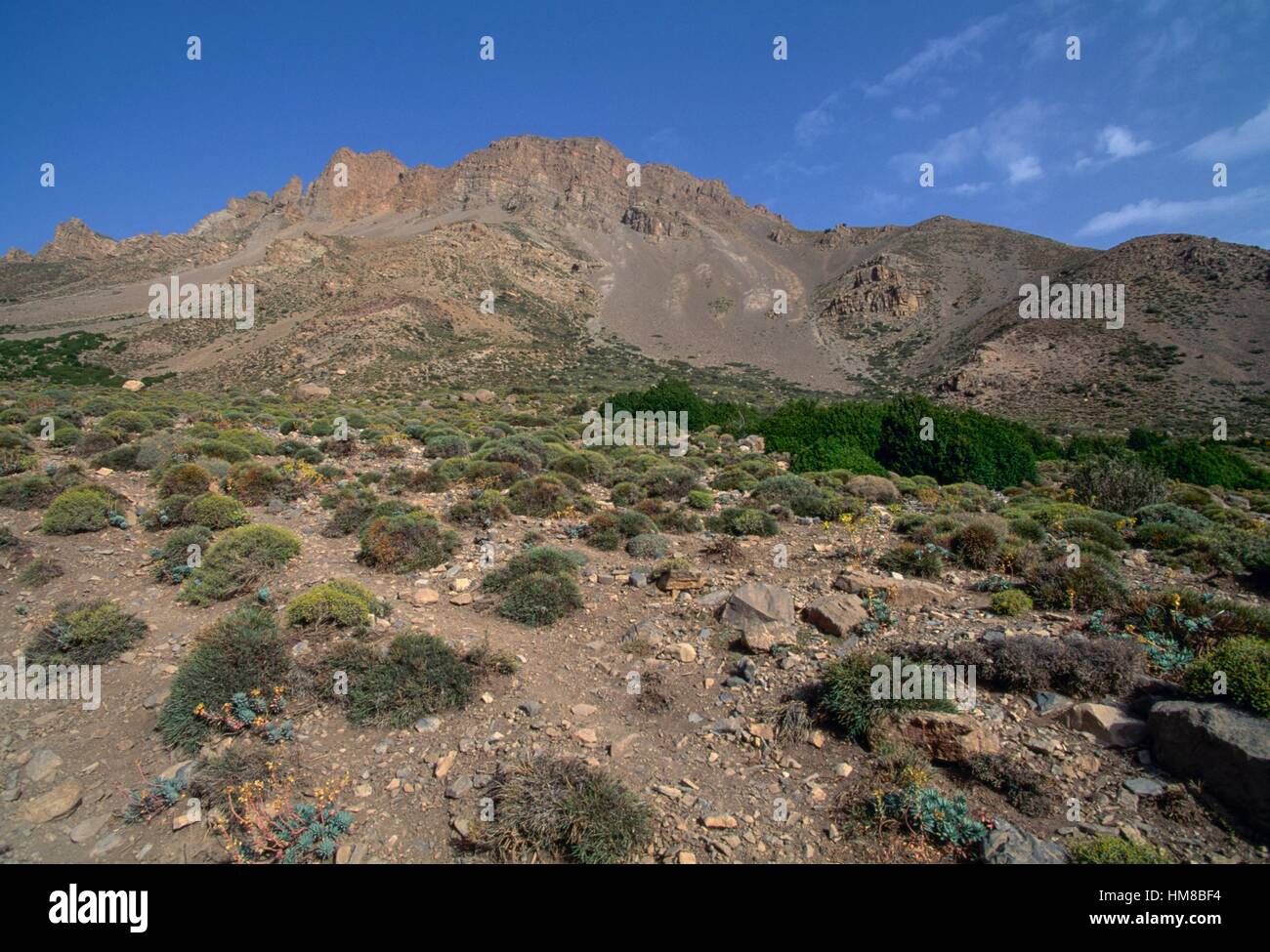 Landscape in the Ait Bououlli valley, Azilal province, High Atlas ...