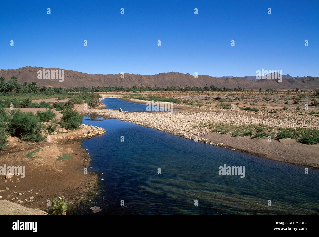 Landscape with river, Draa valley, Souss-Massa-Draa region, Morocco ...