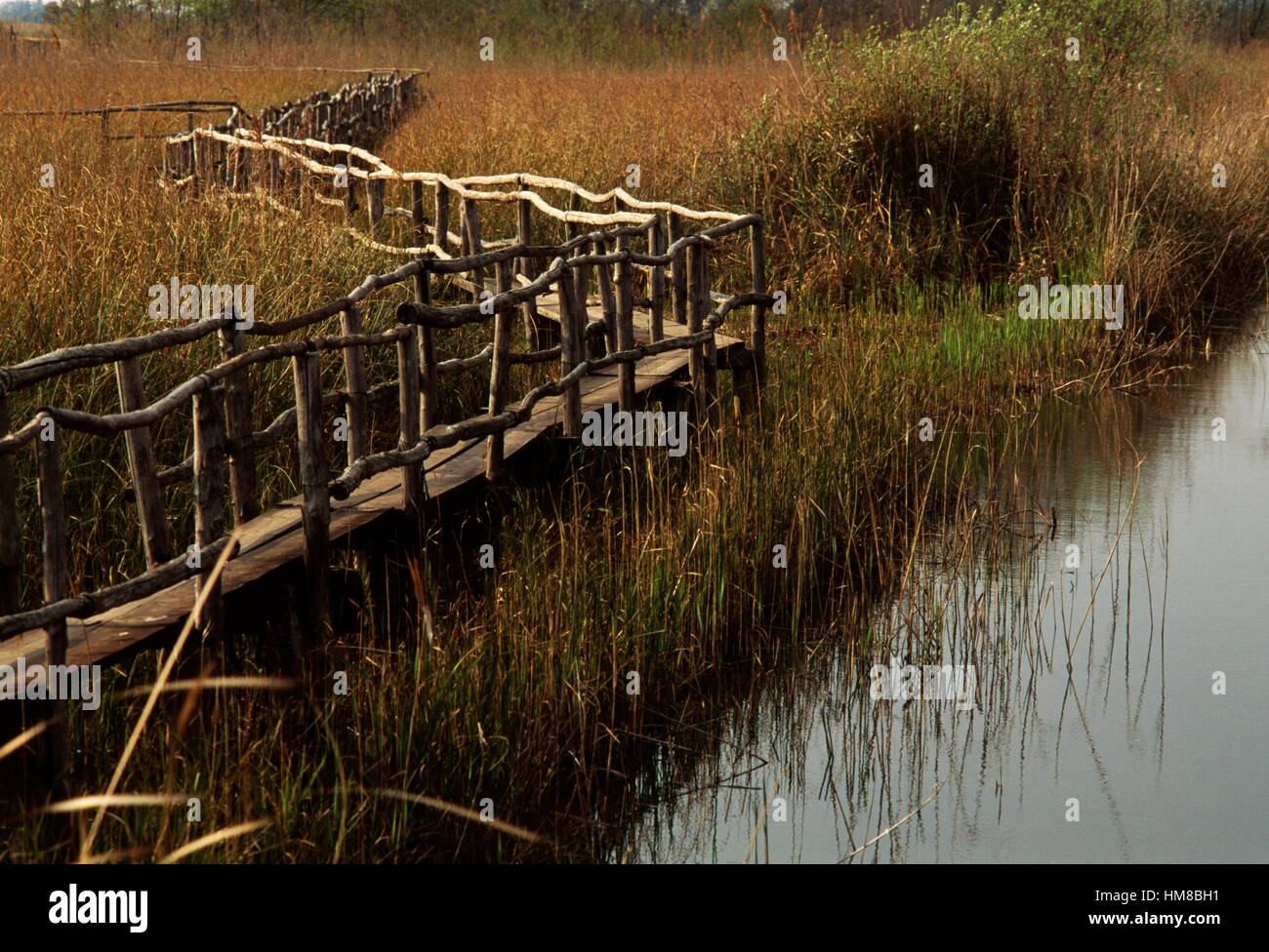 Lipu italy hi-res stock photography and images - Alamy